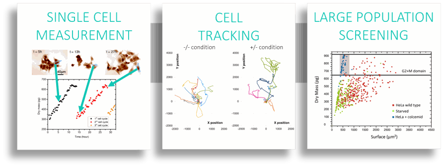 SID4Bio定量相位成像即插即用相机 | CoreAb|北京沫之东生物技术有限公司官网